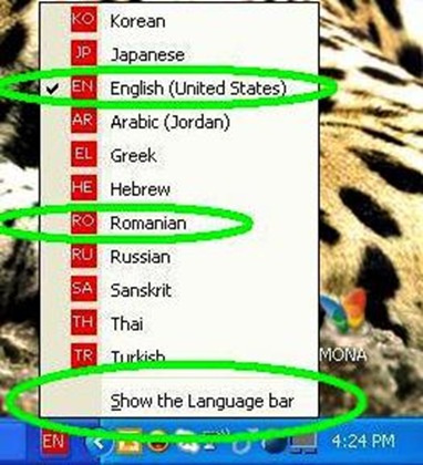 Mişcarea Euro-Civică Română: Lecţia 9 – Diacritice şi caractere din ...